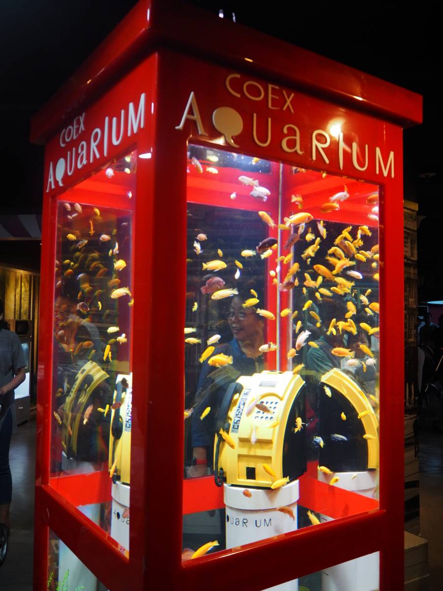 COEX Aquarium (코엑스 아쿠아리움) - Trazy, Korea's #1 Travel Shop