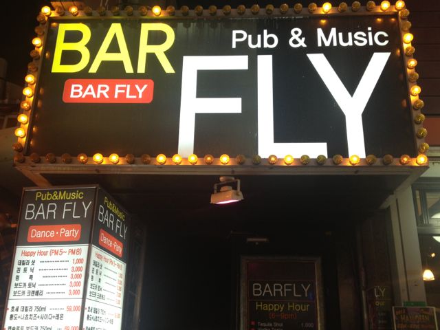 Bar Fly, Korea Nightlife & Bar