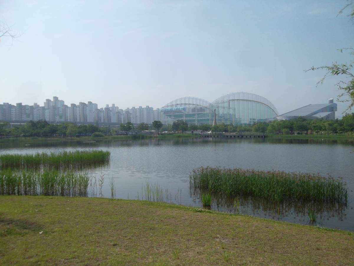 Sangdong Lake Park 상동호수공원 - Trazy, Korea's #1 Travel Shop