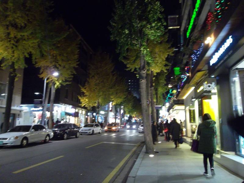 Garosugil (Sinsadong) 가로수길 - Trazy, Korea's #1 Travel Shop