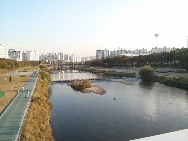 Tancheon Stream 탄천 - Trazy, Korea's #1 Travel Shop