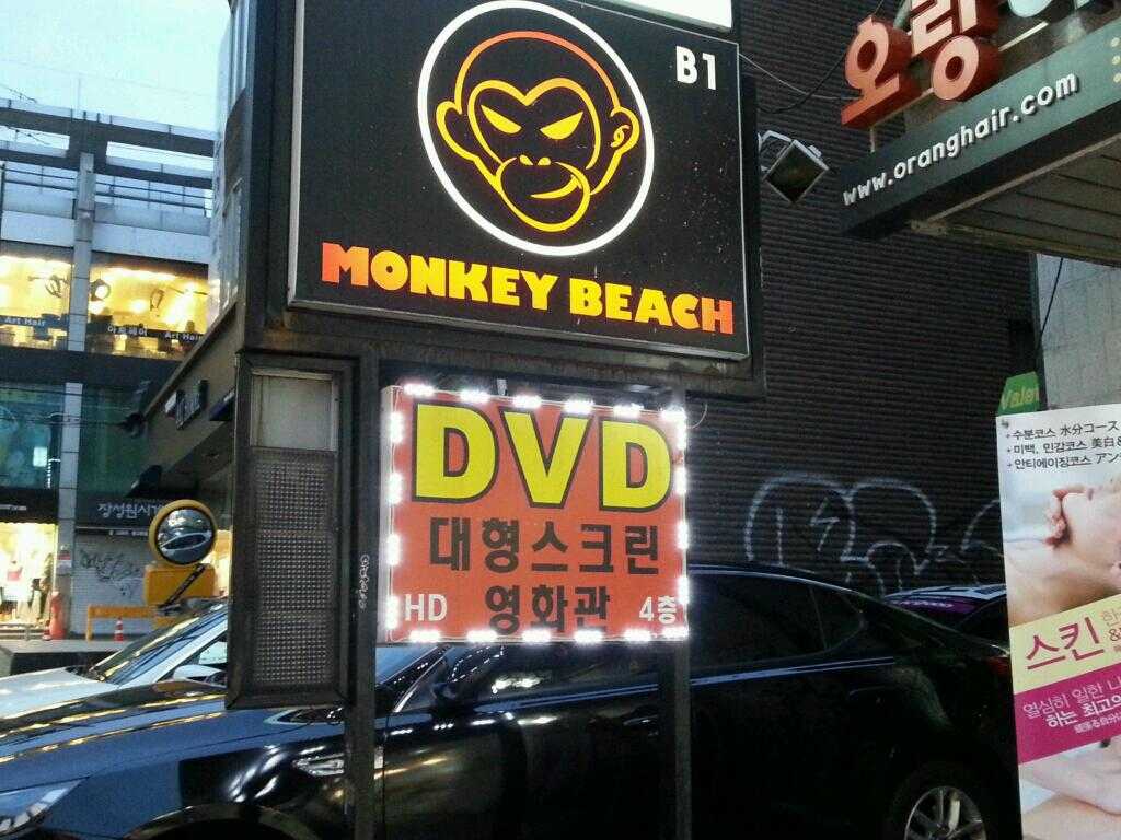 Monkey Beach 몽키 비치 , Korea Nightlife & Bar