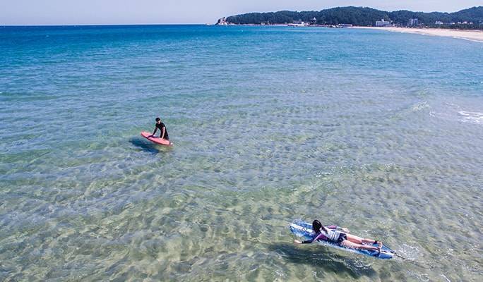 Surfyy Beach 서피비치 - Trazy, Korea's #1 Travel Shop