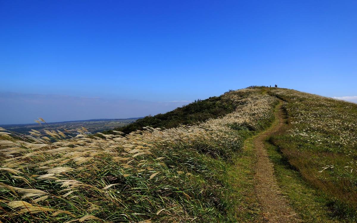 Saebyeol Oreum 새별오름 - Trazy, Korea's #1 Travel Shop