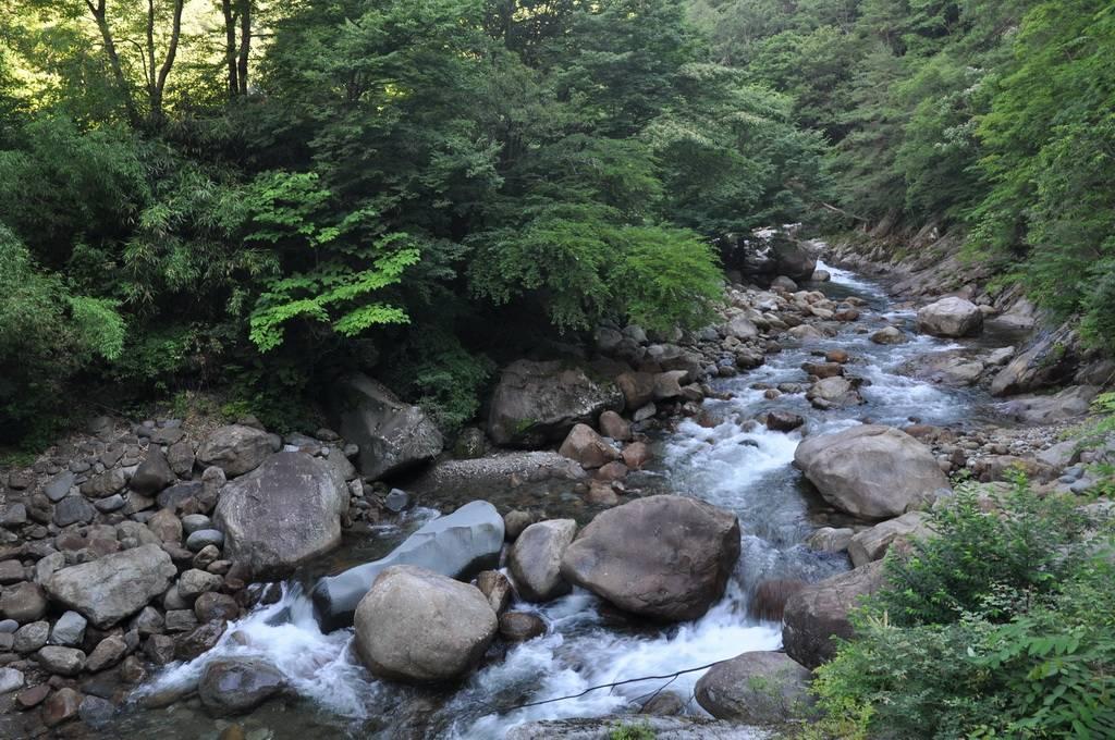 Sancheong 산청 - Trazy, Korea's #1 Travel Shop