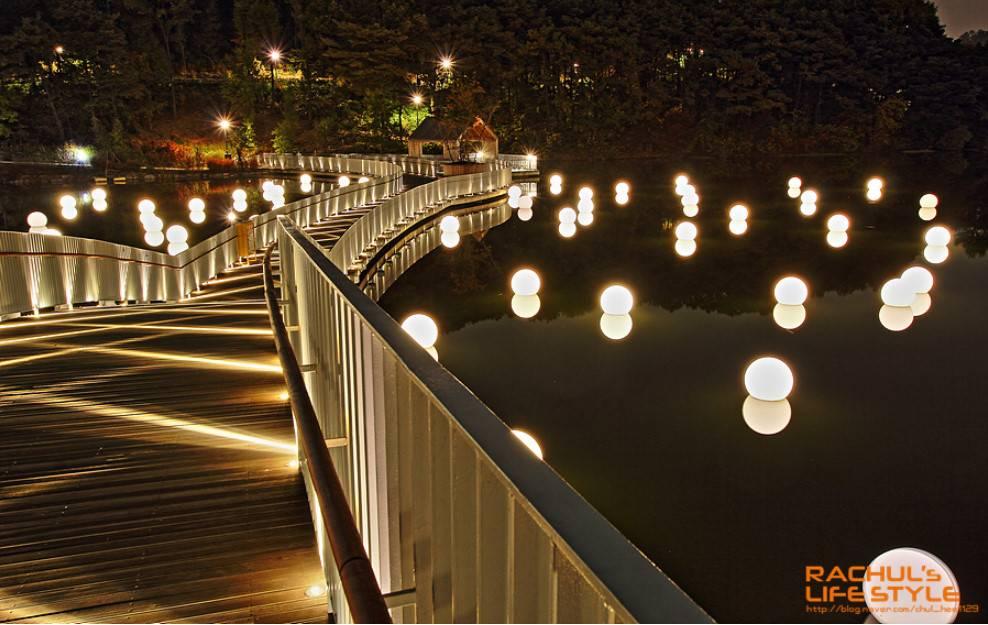 Gwanggyo Lake Park 광교호수공원 - Trazy, Korea's #1 Travel Shop